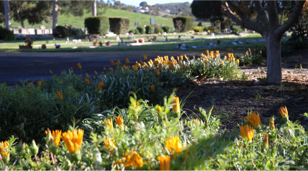 Links & Resources – Yan Yean Cemetery Trust